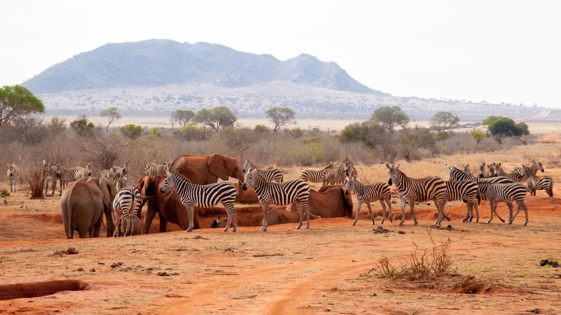 Oferte Vacante Kangundo, Kenya 2025 - Cazare, Sejururi, Circuite